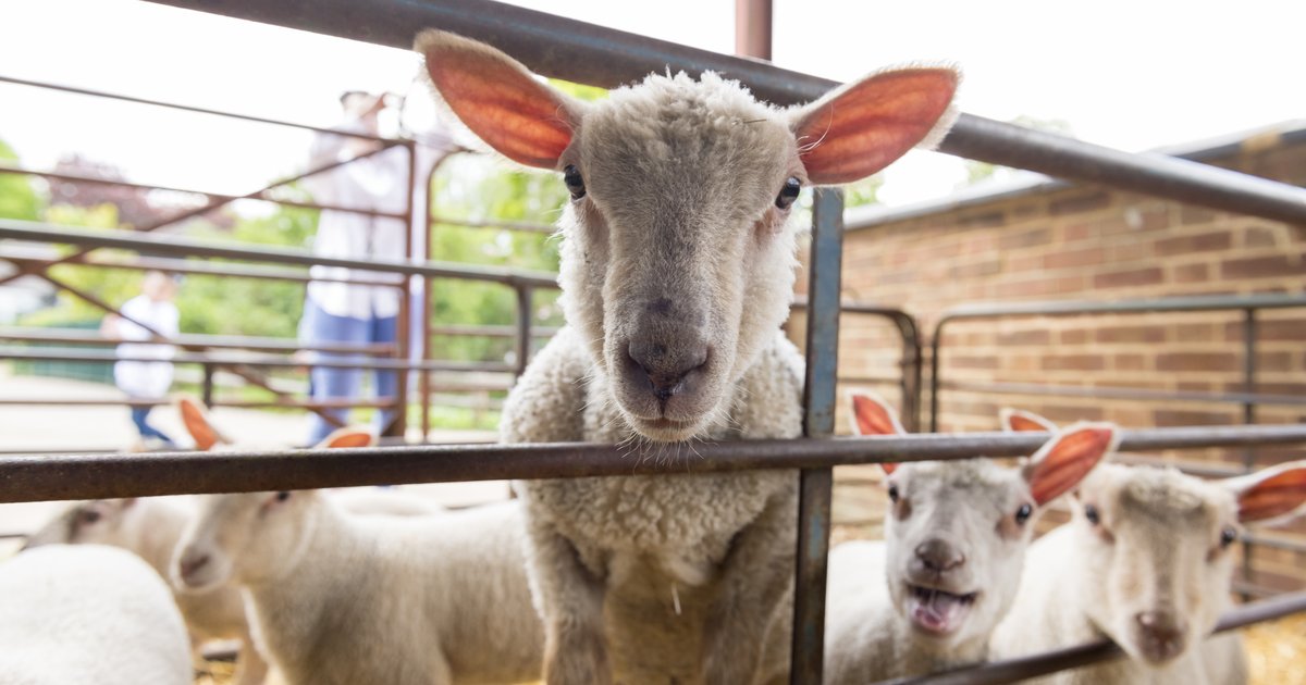 Standalone Farm Venue Hire - Letchworth Garden City Heritage Foundation